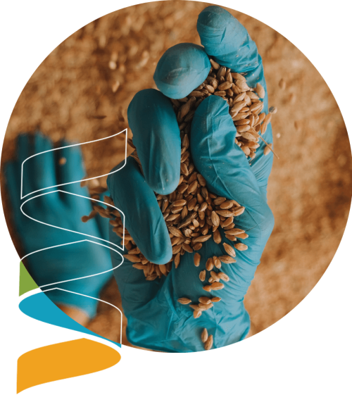 National Alternative Protein Innovation Centre (NAPIC) - NAPIC